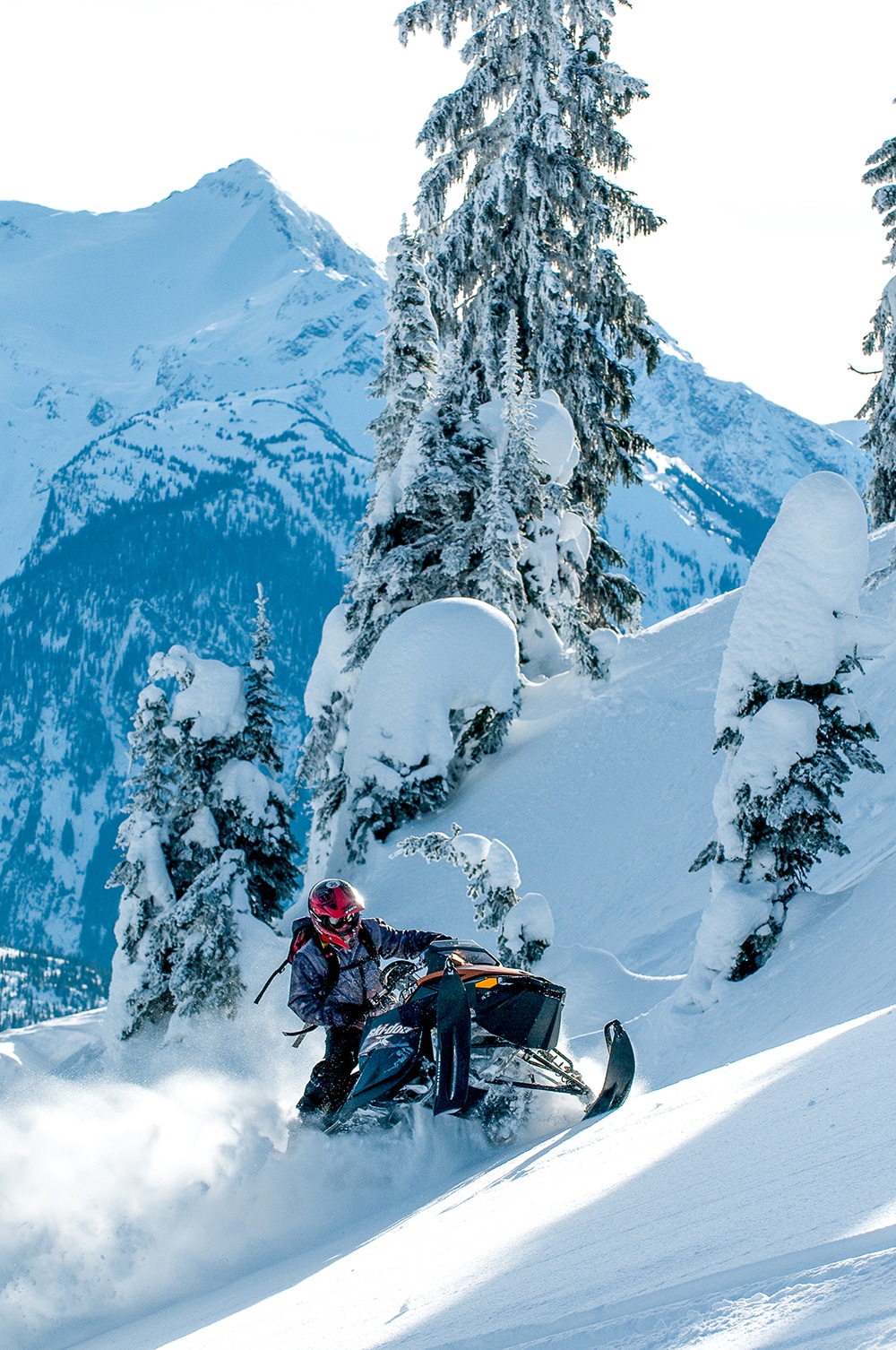 Revelstoke snowmobile trade still setting high marks each year ...